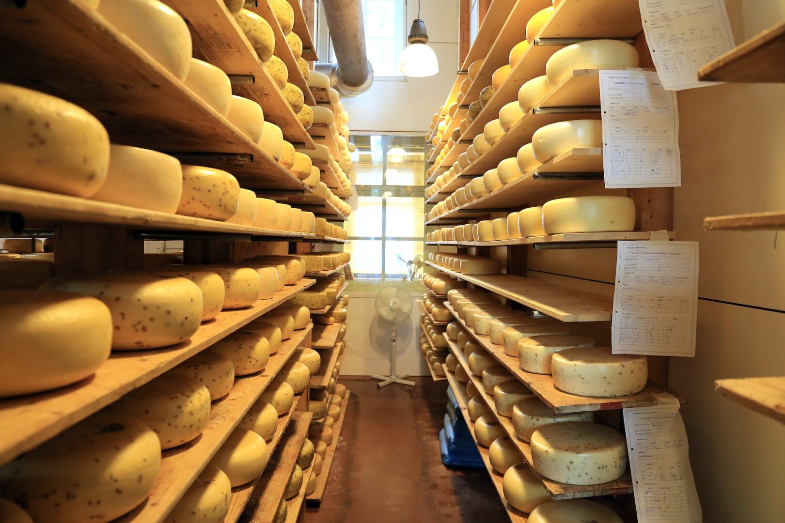 How to Invest in the Food Industry - Business Border