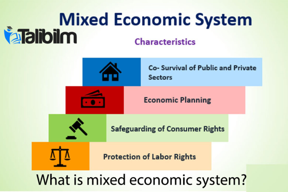 What are the Cons of a Mixed Economy - Business Border